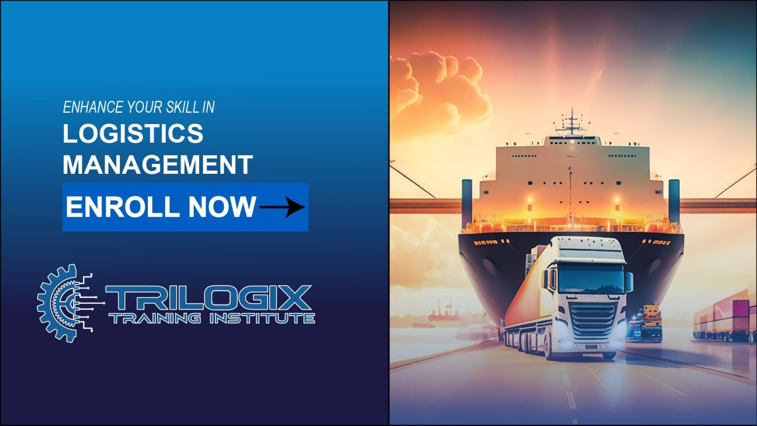 LOGISTICS & SUPPLY CHAIN MANAGEMENT – Trilogix
